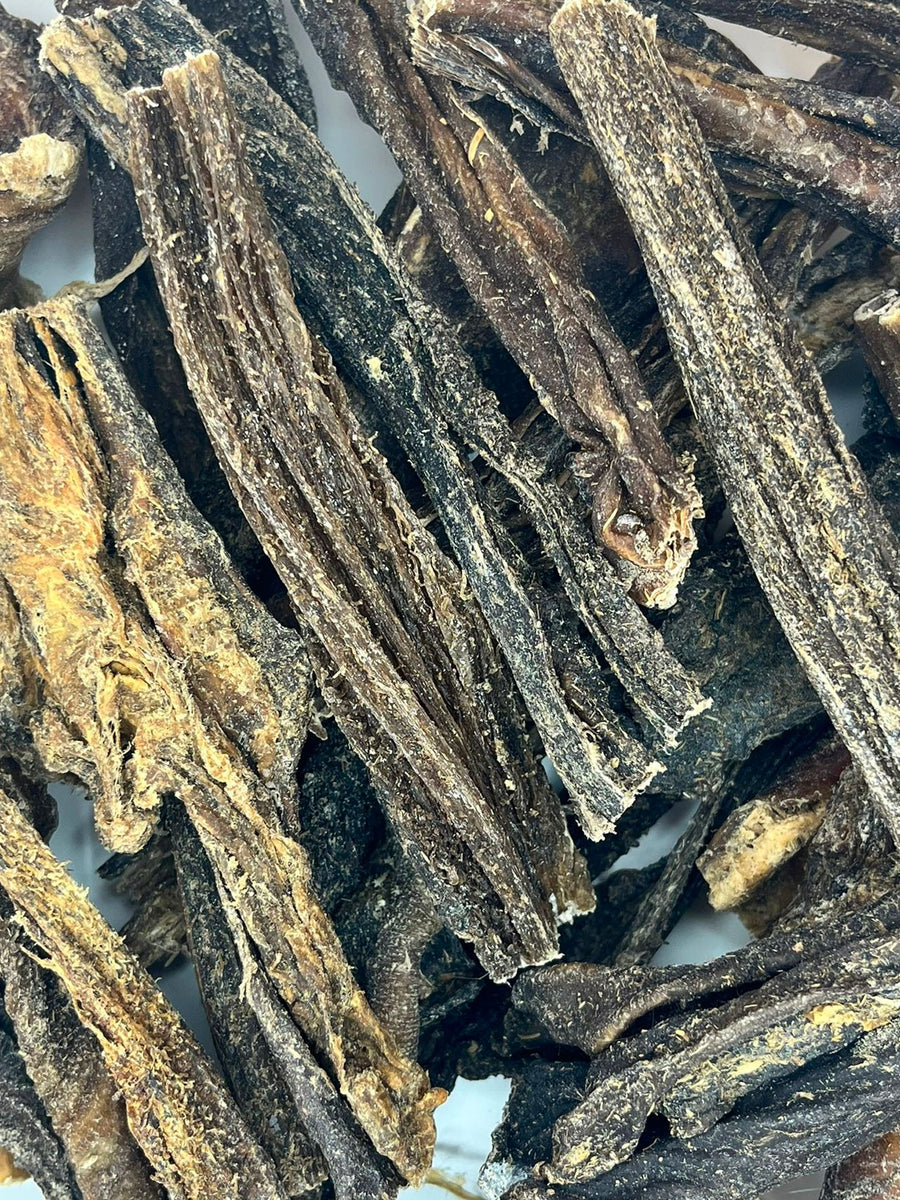 Is Beef Tripe Safe For Dogs – 10 Reasons Why It Can Be a Safe Treat ...