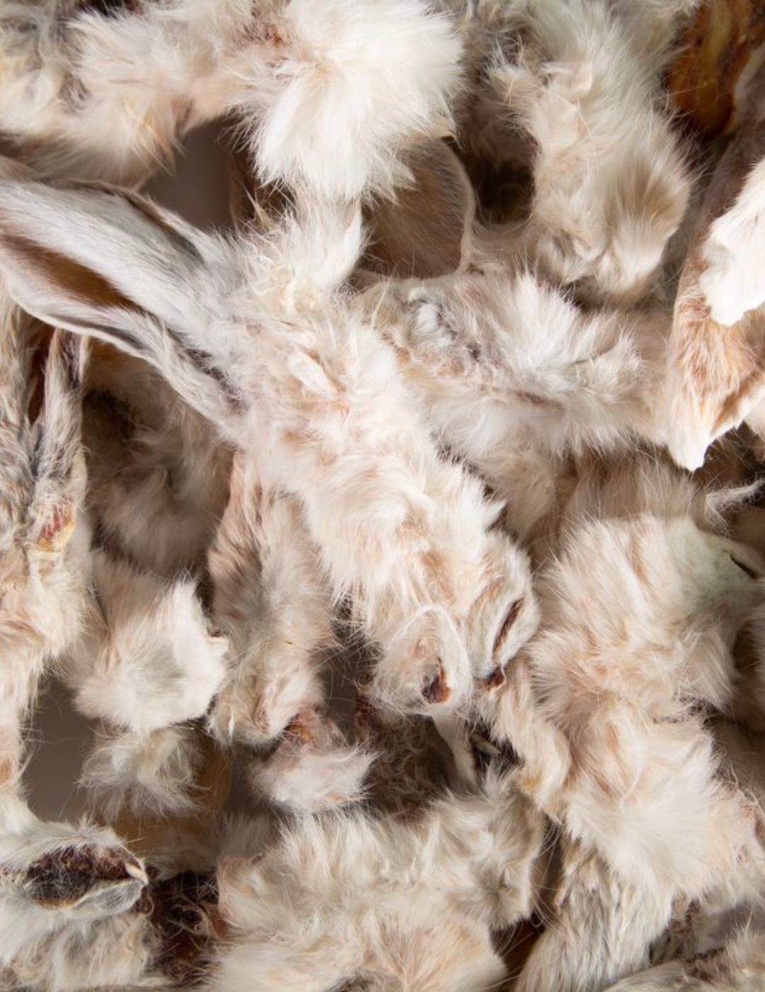 Rabbit Ears with fur Natural with Hair Hypoallergenic Dog Treat Chew ...